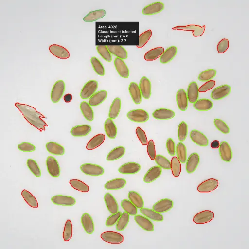 GrainODM - AI Grain Analysis | 99.8% Accuracy